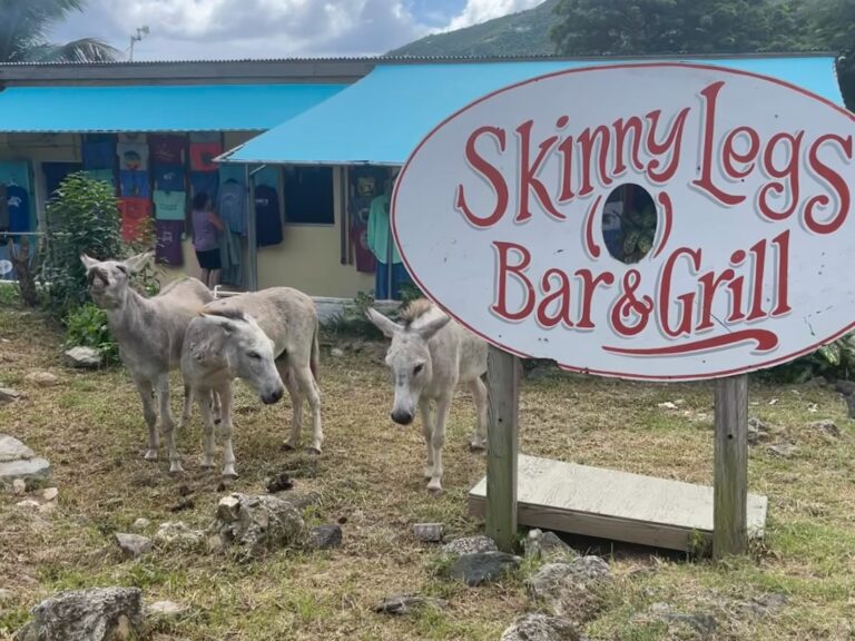 Big News from Skinny Legs! - ExploreSTJ.com