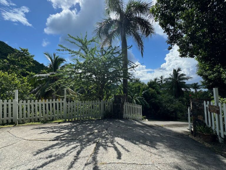 ExploreSTJ.com - Island Tours, Real Estate & Travel Blog