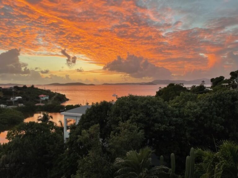 Lime Out, the Floating Taco Bar, Opens 2nd Location! - ExploreSTJ.com